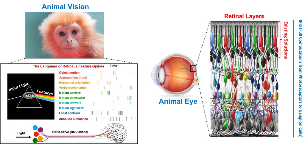 Research – Laboratory for Computing with Unconventional Technologies – UW–Madison
